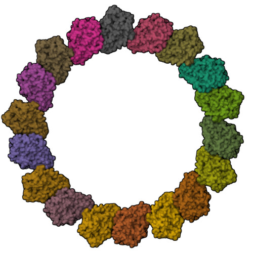 RCSB PDB - 7M20: 18-mer HeLa-tubulin rings in complex with Cryptophycin 1