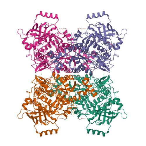 RCSB PDB - 7M3K: Crystal Structure of Galactonate dehydratase from ...