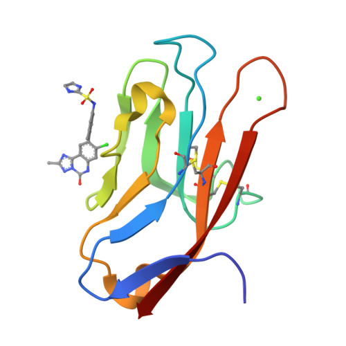 RCSB PDB - 7M41: Structure of TIM-3 in complex with N-(4-(8-chloro-2 ...