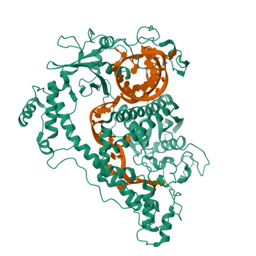 RCSB PDB - 7M5O: Cryo-EM structure of CasPhi-2 (Cas12j) bound to crRNA