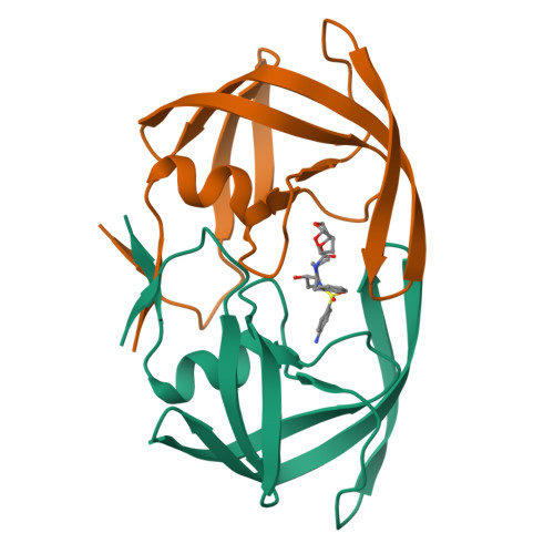 RCSB PDB - 7MAR: Drug Resistant HIV-1 Protease (L10F, M46I, I47V, I50V ...