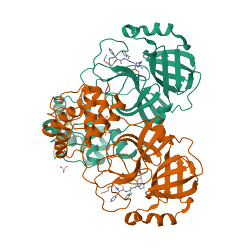 RCSB PDB - 7MAU: SARS-CoV-2 Main Protease (Mpro) in Complex with ...