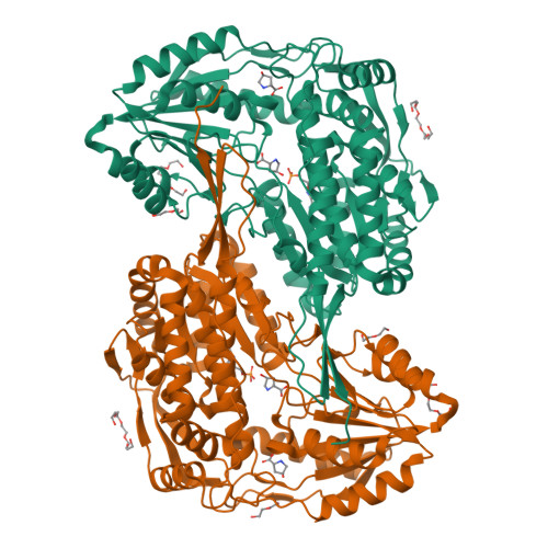RCSB PDB - 7MES: Structure of ALDH4A1 complexed with trans-4-Hydroxy-D ...