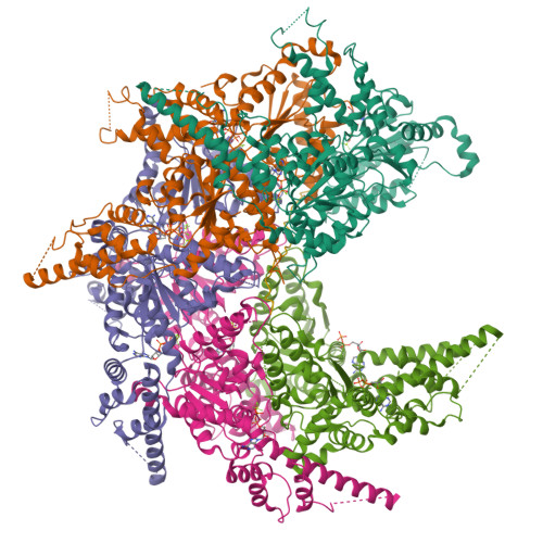 RCSB PDB - 7MHS: Structure of p97 (subunits A to E) with substrate engaged