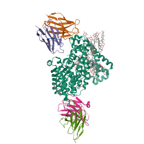 RCSB PDB - 7MHY: Human Hedgehog acyltransferase (HHAT) in complex with ...