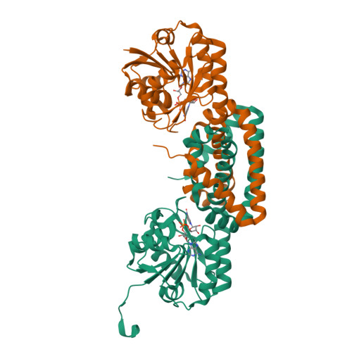 RCSB PDB - 7MQV: Crystal structure of truncated (ACT domain removed ...