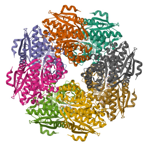 RCSB PDB - 7MQX: P. putida mandelate racemase forms an oxobenzoxaborole ...