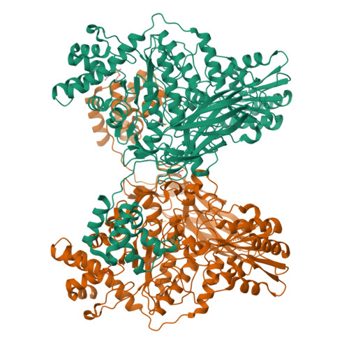 RCSB PDB - 7MS2: Three-dimensional structure of a GH3 Beta-glucosidase ...