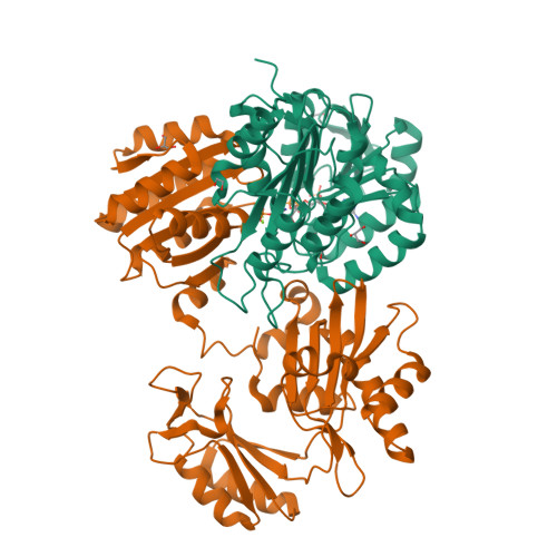 RCSB PDB - 7MSR: Human E105Qa GTP-specific succinyl-CoA synthetase ...