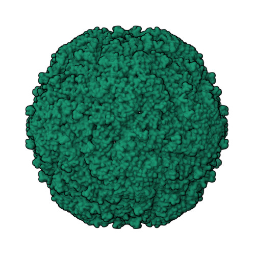 RCSB PDB - 7MU1: Thermotoga maritima encapsulin shell