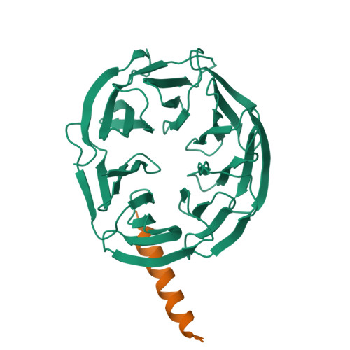 RCSB PDB - 7MU2: Crystal Structure of WIPI2 in complex with W2IR of ATG16L1