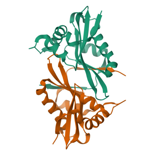 RCSB PDB - 7N1L: Crystal Structure of Ribosomal-protein-alanine N ...