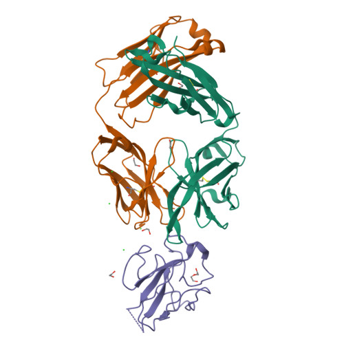 RCSB PDB - 7N3D: Crystal Structure of Human Fab S24-1564 in the complex ...