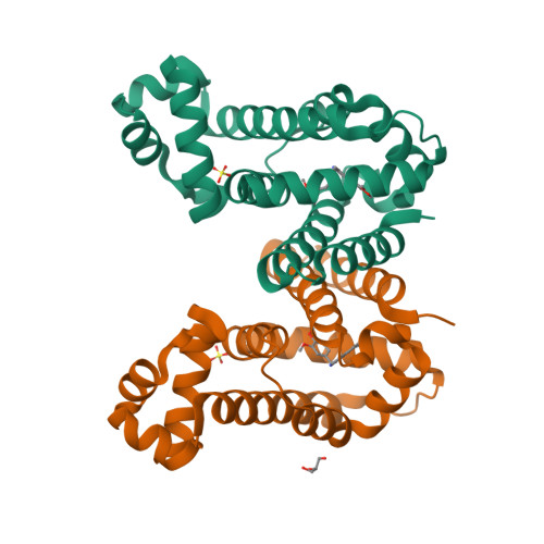 RCSB PDB - 7N53: Complex structure of PAP4 with papaverine