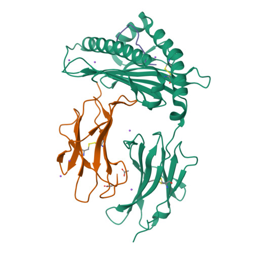 RCSB PDB - 7N5Q: Peptide-MHC complex of mouse H2-Db presenting PA224 ...