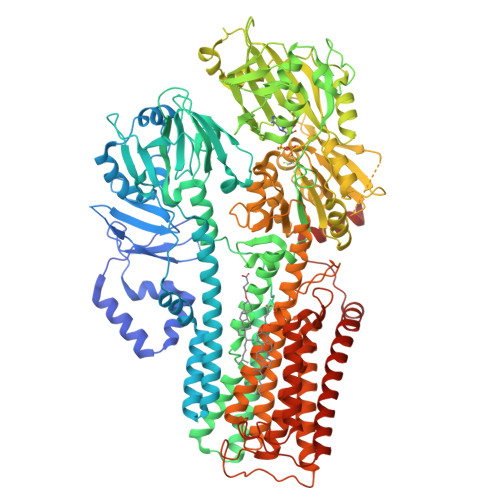 RCSB PDB - 7N73: Cryo-EM structure of ATP13A2 in the ADP-AlF-bound E1P ...