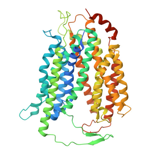 RCSB PDB - 7N98: Cryo-EM structure of MFSD2A