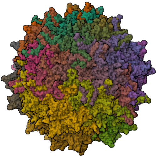 RCSB PDB - 7NA6: Cryo-EM structure of AAV True Type