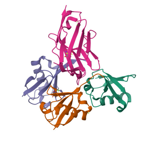 RCSB PDB - 7NBB: Branched Lys48- and Lys63-linked tri-ubiquitin (K48 ...