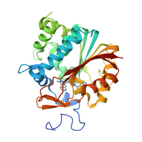 RCSB PDB - 7NBJ: Co-crystal structure of Human Nicotinamide N ...