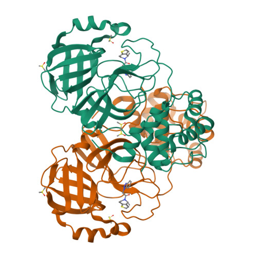 RCSB PDB - 7NBT: Crystal Structure of SARS-CoV-2 main protease (Nsp5 ...