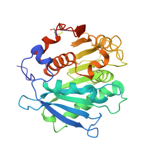 RCSB PDB - 7NEI: Polyester Hydrolase Leipzig 7 (PHL7) in the unliganded ...