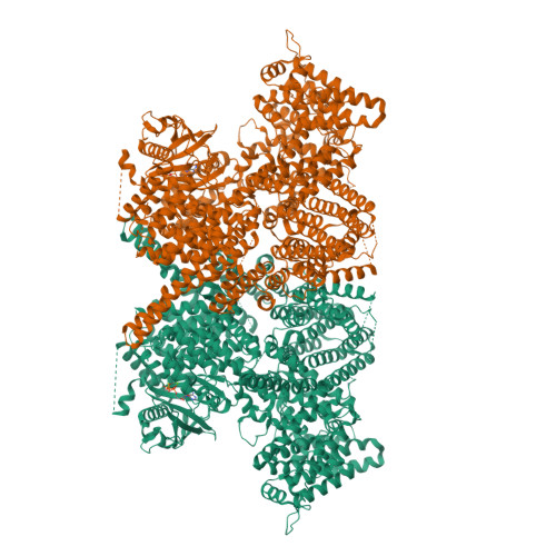 RCSB PDB - 7NI6: Human ATM kinase with bound ATPyS