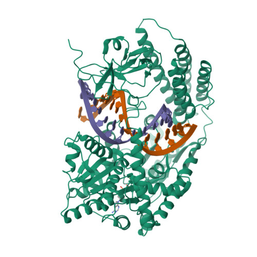 RCSB PDB - 7NIC: CryoEM structure of disease related M854K MDA5-dsRNA ...