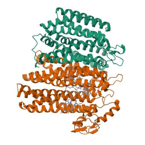 RCSB PDB - 7NKZ: Cryo-EM structure of the cytochrome bd oxidase from M ...