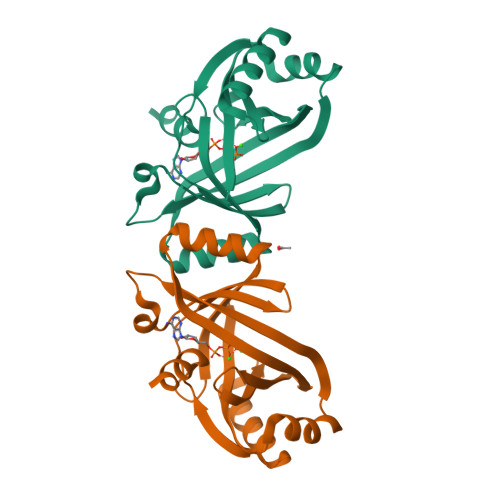 RCSB PDB - 7NSD: Triphosphate tunnel metalloenzyme from Sulfolobus ...