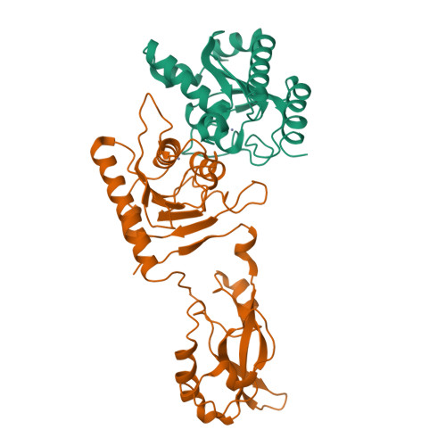 RCSB PDB - 7NZ7: Crystal structure of mouse ADAT2/ADAT3 tRNA ...