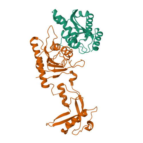 RCSB PDB - 7NZ9: Crystal structure of mouse ADAT2/ADAT3 tRNA ...