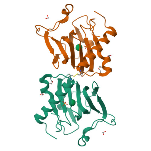 RCSB PDB - 7NZQ: D-lyxose isomerase from the hyperthermophilic archaeon ...