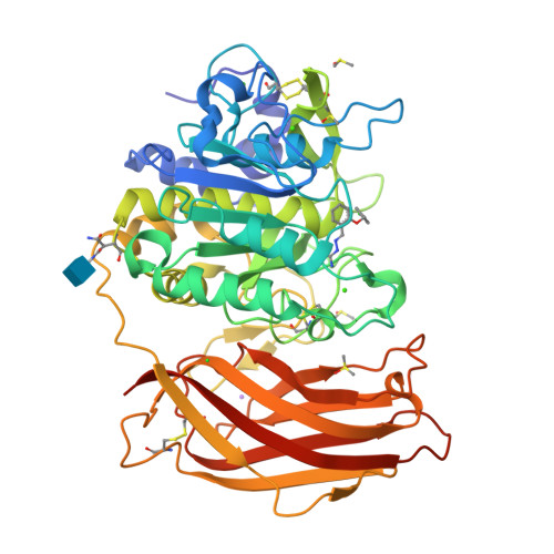 RCSB PDB - 7O22: X-ray structure of furin in complex with the ...