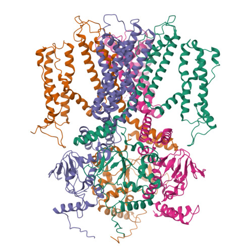 RCSB PDB - 7O4H: The structure of the native CNGA1/CNGB1 CNG channel ...