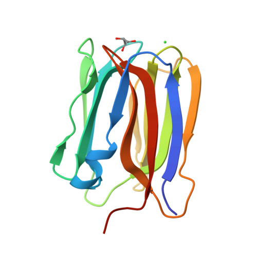 RCSB PDB - 7O4P: Cystal structure of Zymogen Granule Protein 16 (ZG16)