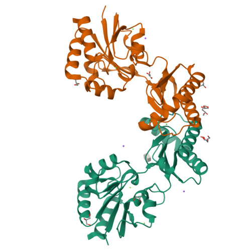 RCSB PDB - 7O58: Human phosphomannomutase 2 (PMM2) with mutation T237M ...