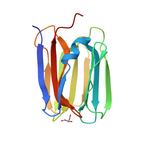 RCSB PDB - 7O88: Cystal structure of Zymogen Granule Protein 16 (ZG16)