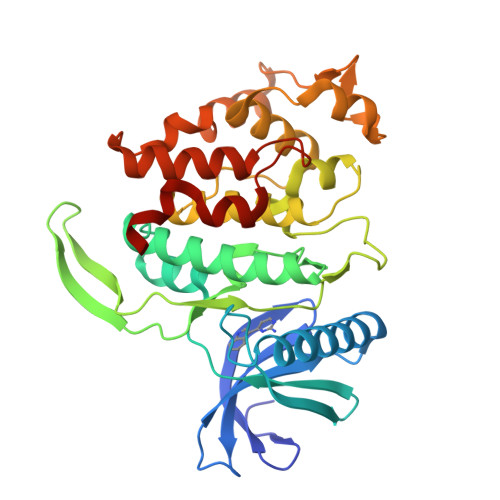RCSB PDB - 7O9Y: Crystal structure of di-phosphorylated human CLK1 in ...