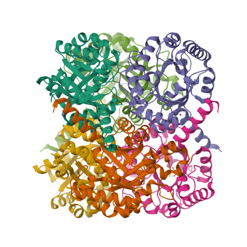 RCSB PDB - 7OBU: Crystal structure of holo-F210W mutant of Hydroxy ...