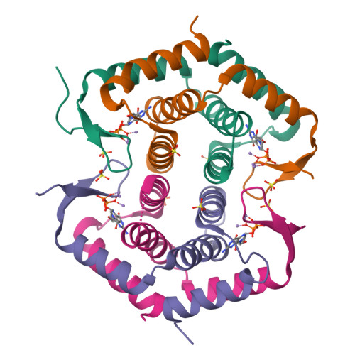 RCSB PDB - 7ODY: Cyanophage S-2L MazG-like pyrophosphohydrolase bound ...