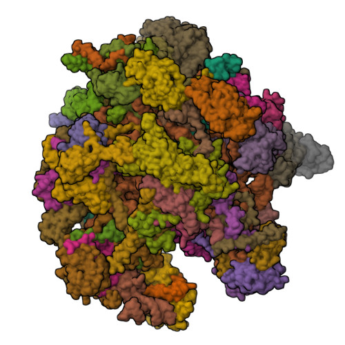 RCSB PDB - 7OF2: Structure of a human mitochondrial ribosome large ...
