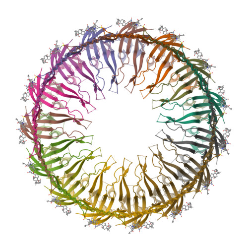RCSB PDB - 7OFH: CryoEM structure of the outer membrane secretin pore ...