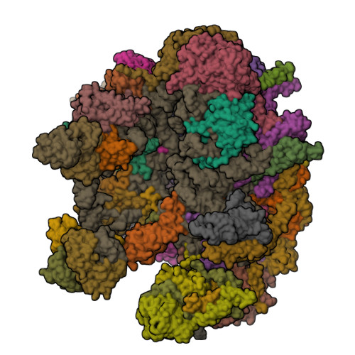 RCSB PDB - 7OI8: Cryo-EM structure of late human 39S mitoribosome ...