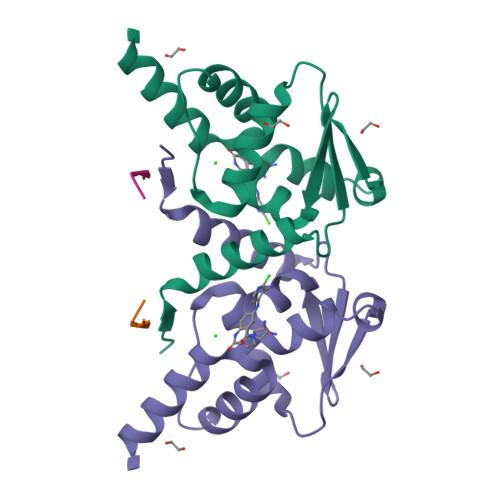 RCSB PDB - 7OKK: Crystal structure of human BCL6 BTB domain in complex ...