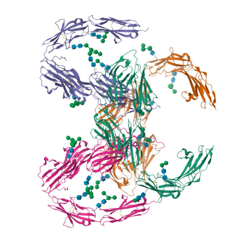 RCSB PDB - 7OL4: Mouse contactin-1 neurofascin-155 immunoglobulin ...