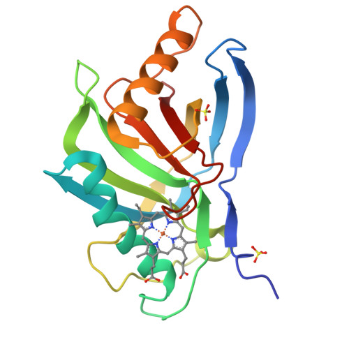 RCSB PDB - 7OON: The X-ray structure of heme-bound murine HEBP1