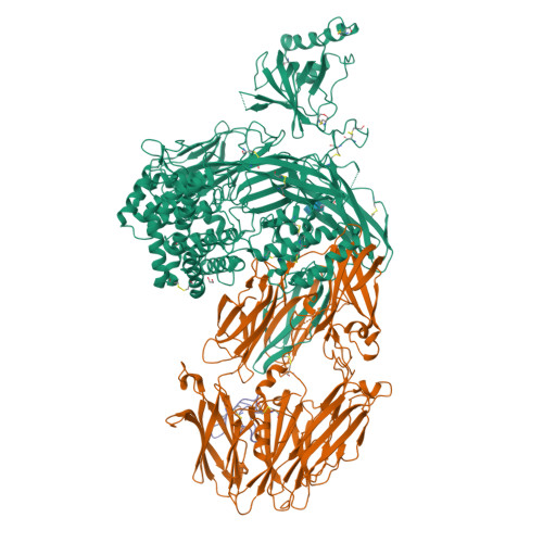 RCSB PDB - 7OP0: Crystal structure of complement C5 in complex with ...