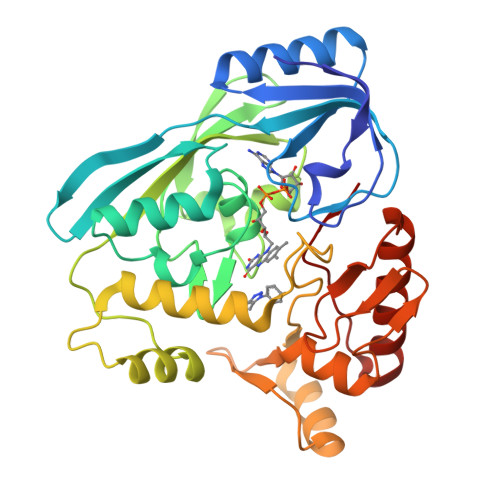 RCSB PDB - 7OSQ: Crystal structure of UDP-N ...