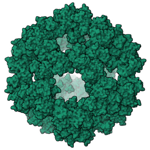 RCSB PDB - 7OTT: Metabolon-embedded pyruvate dehydrogenase complex E2 ...